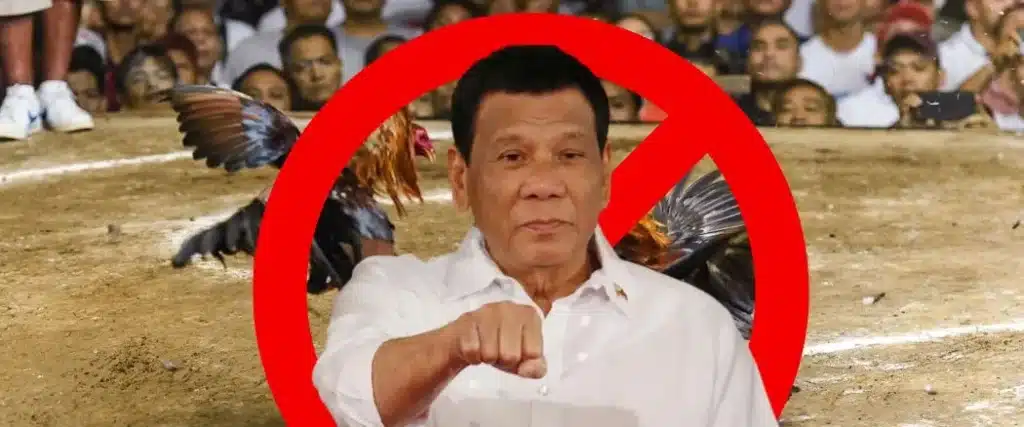 The Online Cockfighting Ban In The Philippines - FILIPINO ONLINE SPORTSBOOK